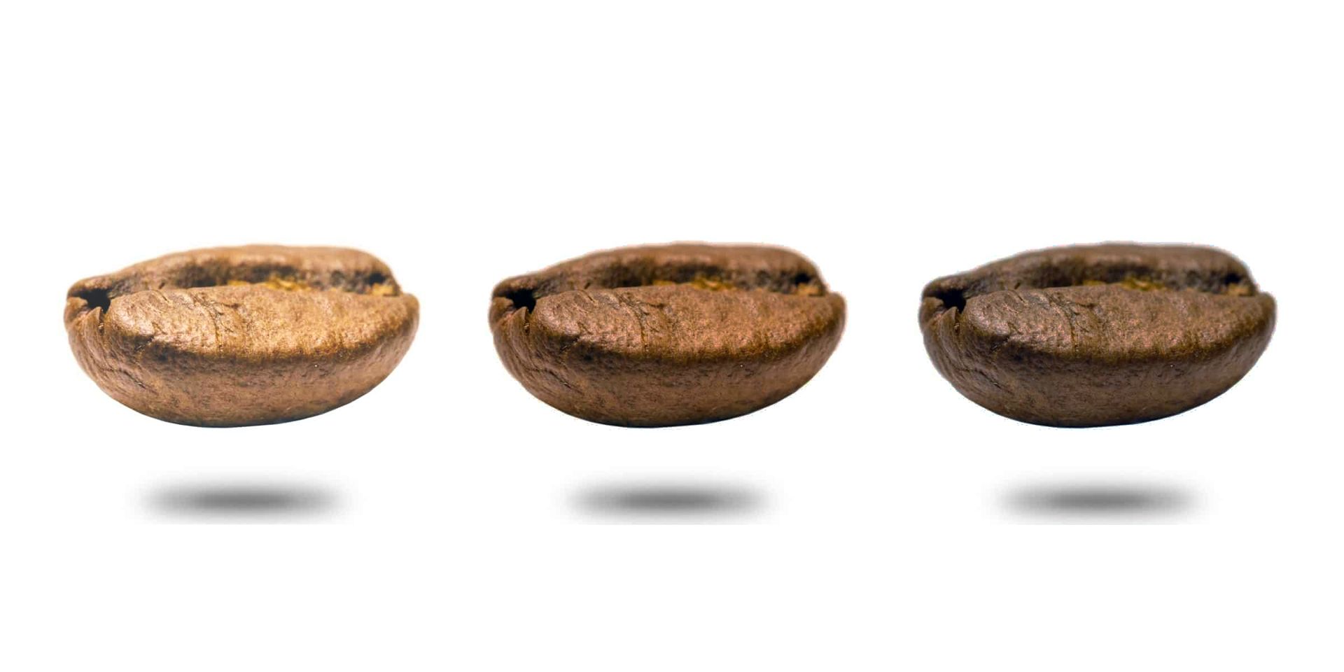 Het verschil tussen light, medium en dark roast | Monx Roasters